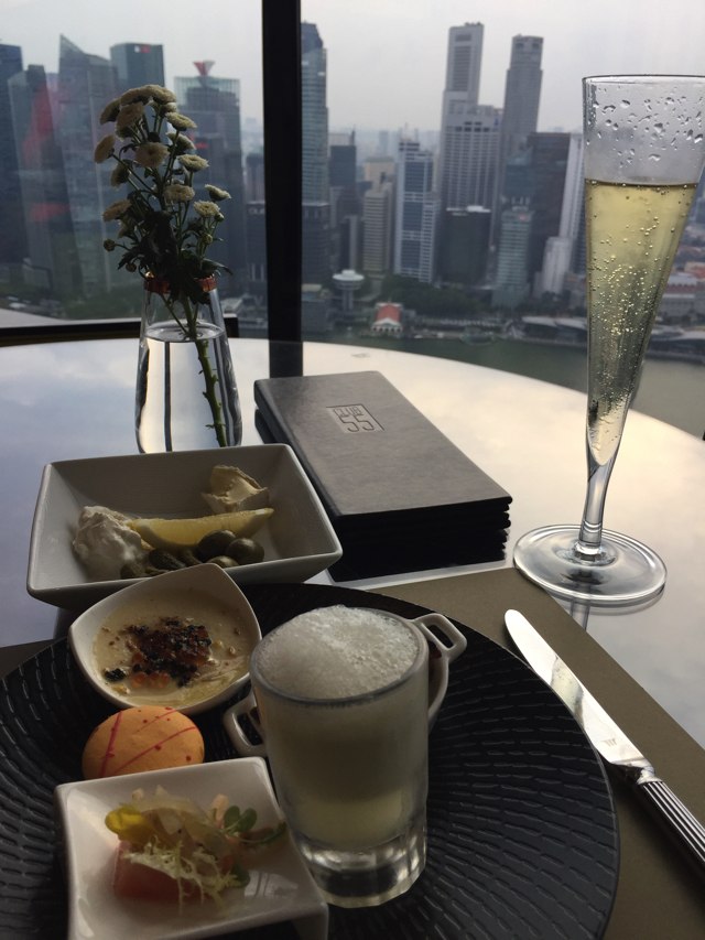 Detailed review & photos “Marina Bay Sands” – Fish&Tips