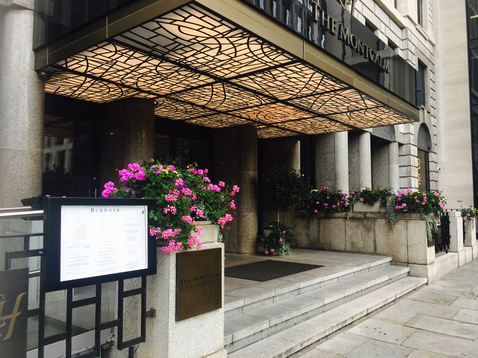 Detailed review & photos “The Montcalm Royal London House” – Fish&Tips